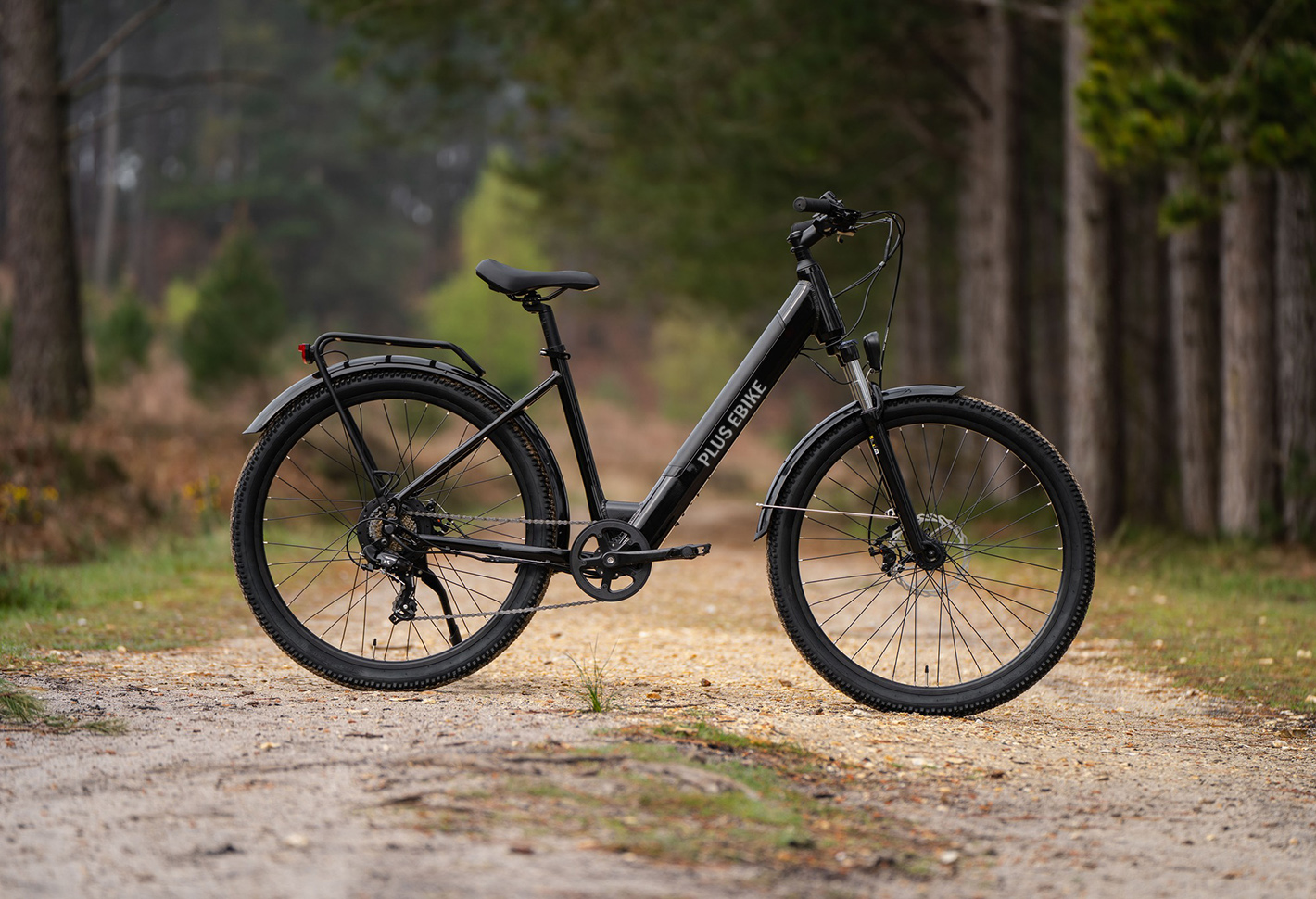 Electric Bike PLUS Liv - PLUS EBIKE