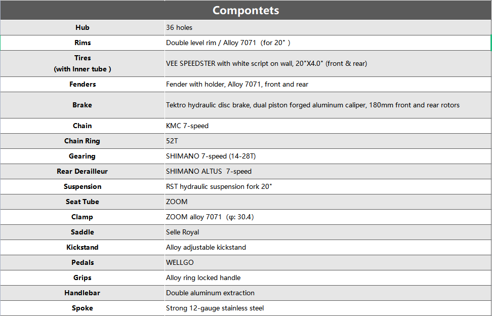 20 inch Rear Drive Off-Road Fat Tire Electric Bike CAMEL-R - PLUS EBIKE