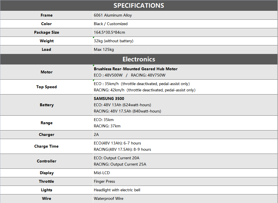 20 inch Rear Drive Off-Road Fat Tire Electric Bike CAMEL-R - PLUS EBIKE